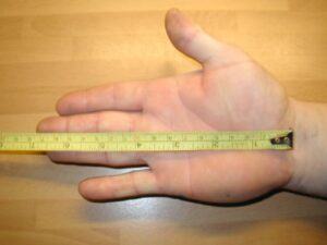 Top 15 Players With The Biggest Hands In The NBA History
